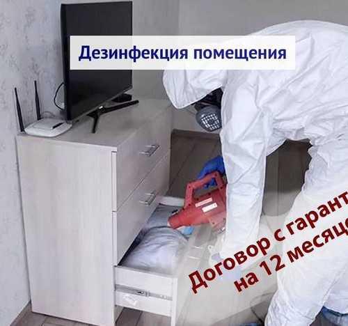 Уничтожение клопов тараканов клещей