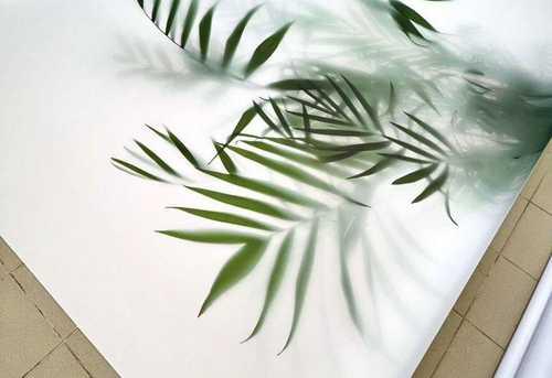 Фотообои бесшовные пальма