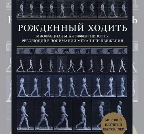 Рожденный ходить Миофасциальная эффективность 2020