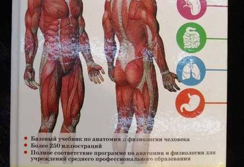 Анатомия человека учебник