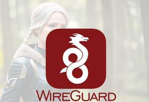 Wireguard, Shadowsocks