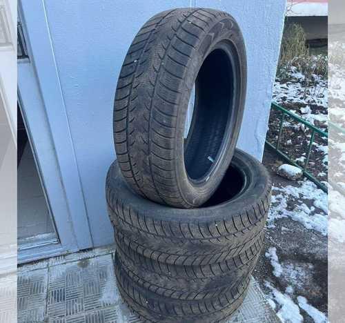 Triangle WinterX TW401 195/55 R16 91H
