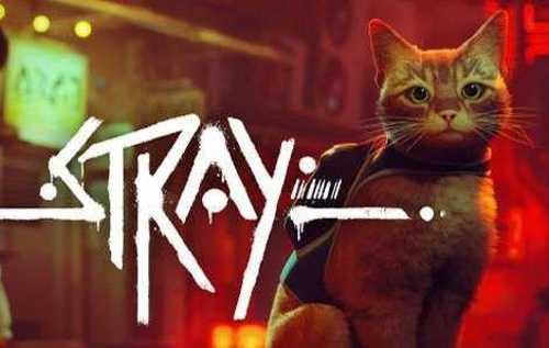 Stray, игра в стиме
