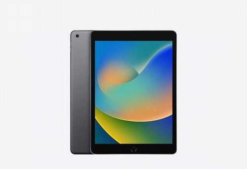 iPad 9 (2021) 10.2 Wi-Fi 256GB Gray