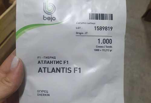 Семена Огурец Атлантис 1000с Бейо