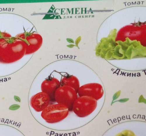 Продам рассаду помидор