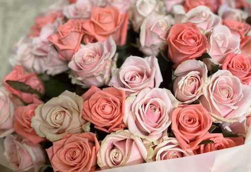Розы доставка 31 51 101 букет цветов