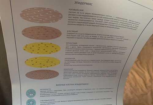 Плакаты для косметолога и мастера депиляции