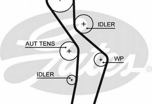 Ремень грм 145x230\ Audi A3/A4 2.0 01), VW Golf V