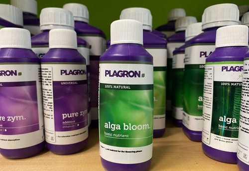 Удобрение Plagron Alga Bloom 100 мл