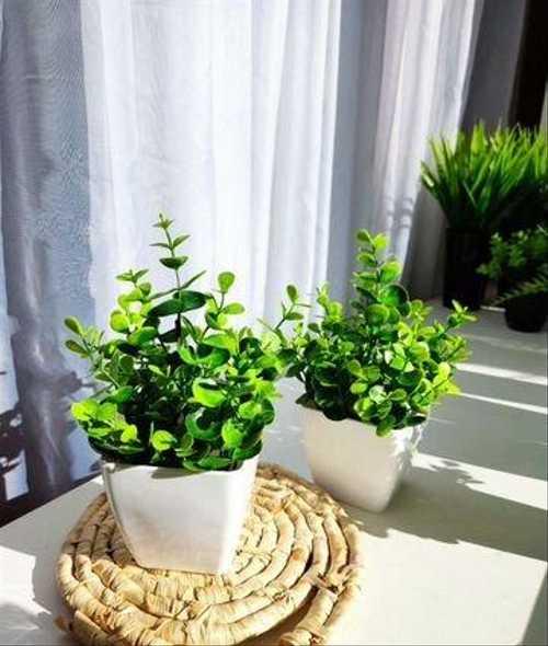 Искусственная зелень, искусственные растения IKEA