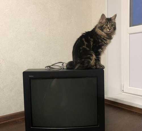 Телевизор Sony Trinitron KV-M2100K