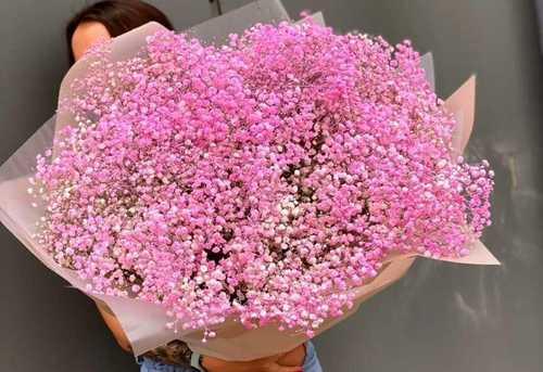 Гипсофила розовая Цветы с доставкой