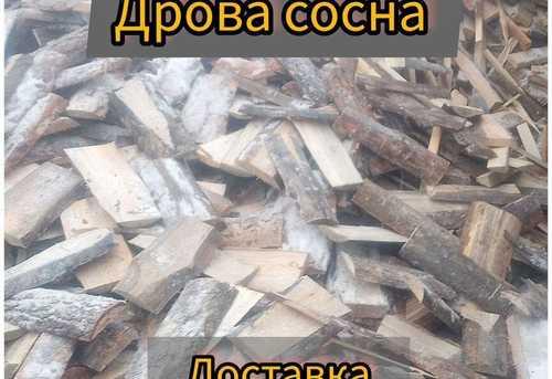 Дрова сосна резаные