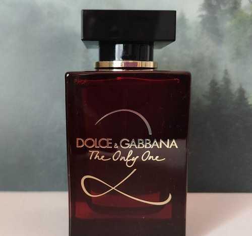 Dolce gabbana the only one 2