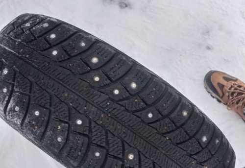 Gislaved Nord Frost 5 185/65 R14