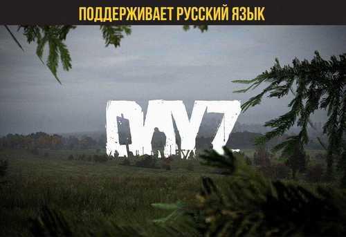 DayZ / День Z (PS4, PS5, Xbox)