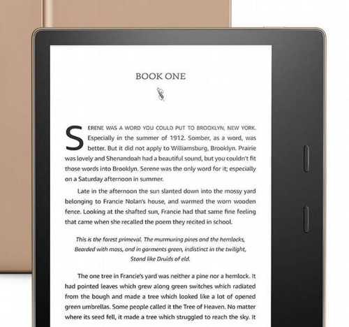 Электронная книга Amazon Kindle Oasis 10 gen 32gb