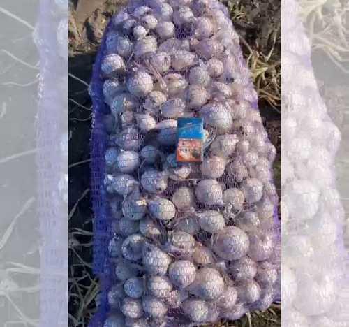 Лук на перо стардаст