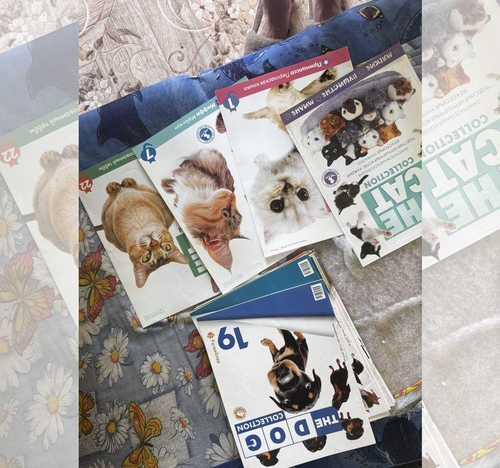 The dog collection