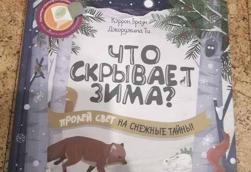 Книга Что скрывает зима