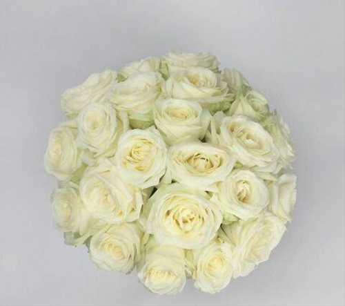 Цветы Розы белые 25 шт Доставка