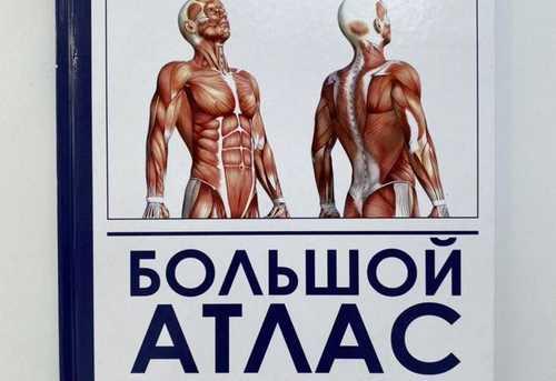 Большой атлас анатомии человека Самусев Агеева