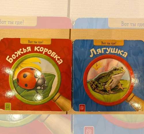 Книга для детей Божья коровка и Лягушка. Вот ты гд