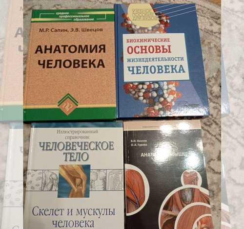 Анатомия человека книги