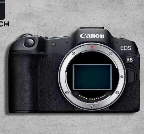 Canon EOS R8 Body   Kit Новый