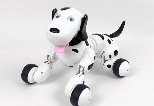 Радиоуправляемая собака робот Smart Dog Далматинец