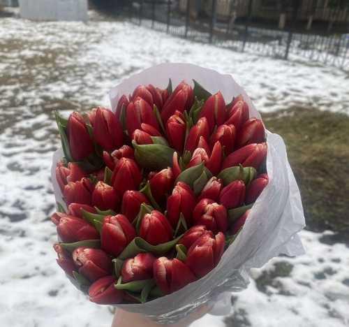 Хрустящие тюльпаны. Одинцово