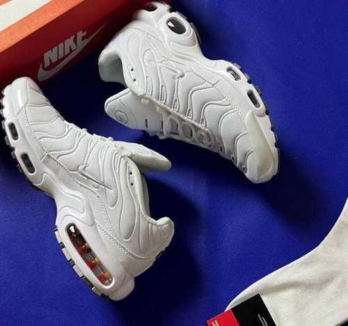 Мужские кроссовки Nike air max Tn plus