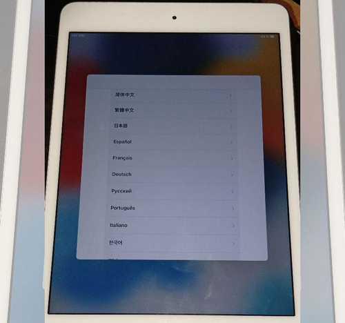 iPad mini 4 128gb cellular