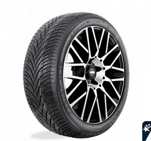 Bfgoodrich G-Force Winter 2 205/50 R17 93H