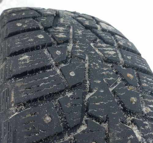 Maxxis ArcticTrekker NP3 195/65 R15
