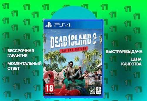 Red Dead Redemption 2 (PS4/PS5) Альметьевск