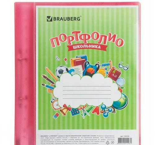 Папка для портфолио школьника, 2 кольца, 20 файлов