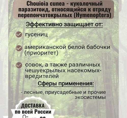 Chouioia cunea от Гусениц совок