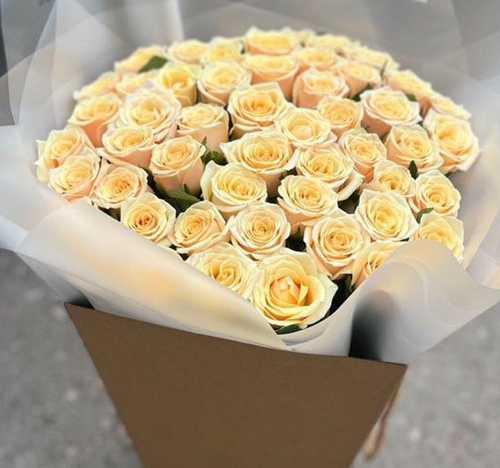 Букет красивых роз цветы 25 35 51 101
