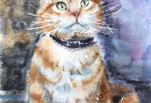 Картина Рыжий кот акварель 21*29,5 А4