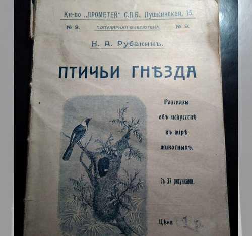 Рубакин Птичьи гнезда 1909
