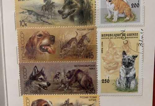 Альбом марок собаки