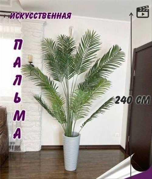 Декоративная высокая пальма в кашпо
