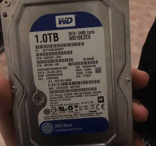 Ssd wd blue 1tb