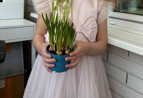 Нарядное платье 122 mothercare