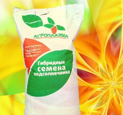 Гибриды семена подсолнечника Агроплазма Ставрополь