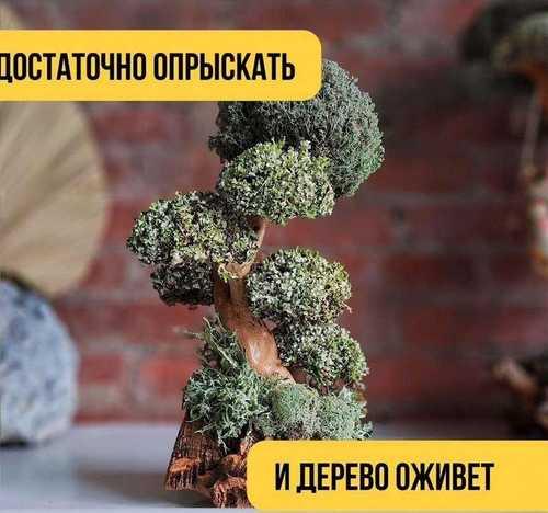 Большое дерево