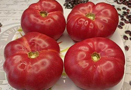 Семена очень вкусного томата Бельмонте