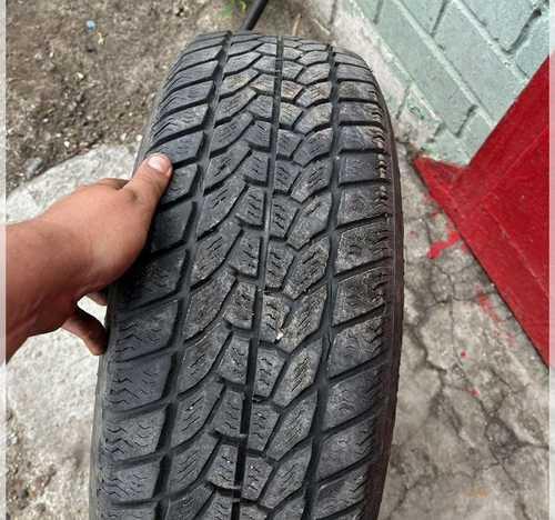 КАМА Кама-Nikola 195/65 R15 91H